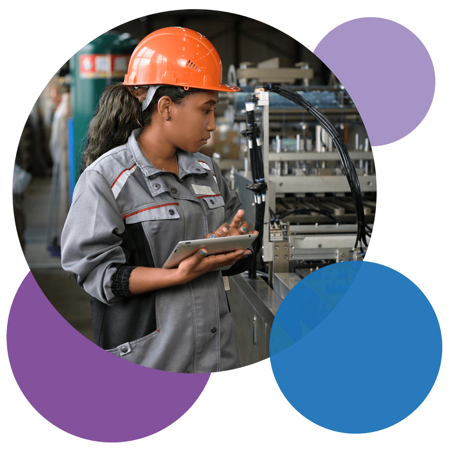 Intelex - Global EHS & Quality Management Software Solutions